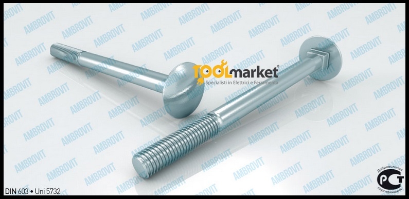 Bulloni M10 testa tonda DIN603 - Variante: M10 x 20 (pezzi 10)